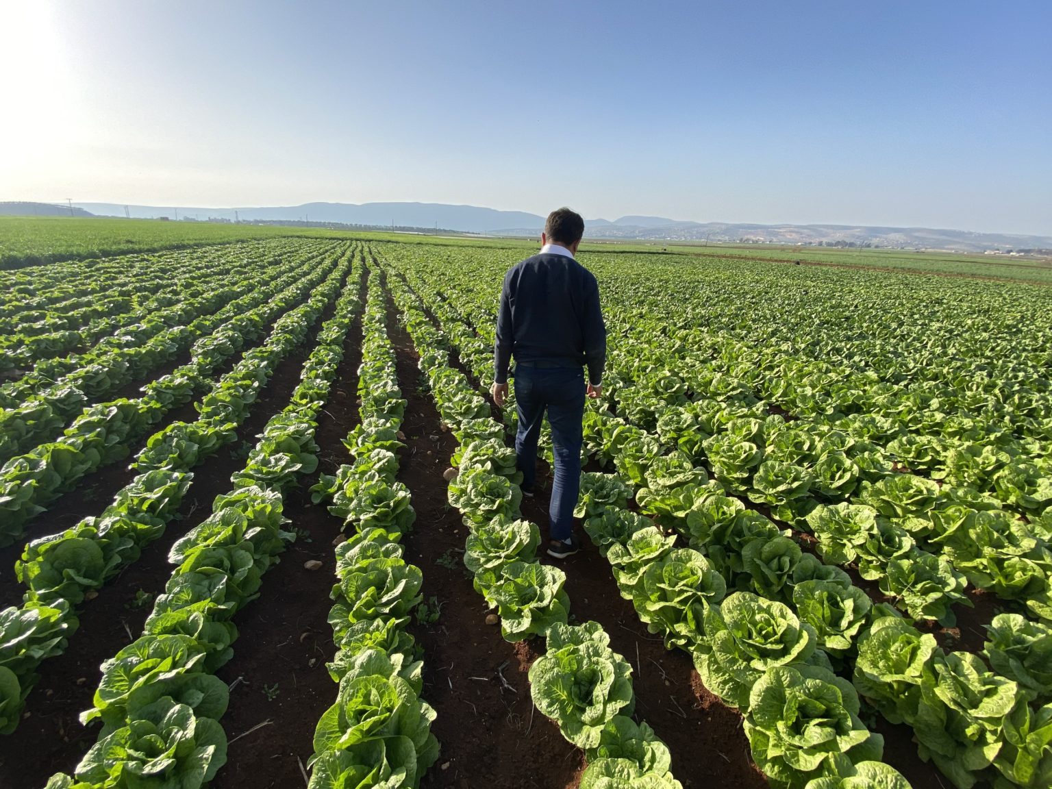 Agricultural Voices Syria